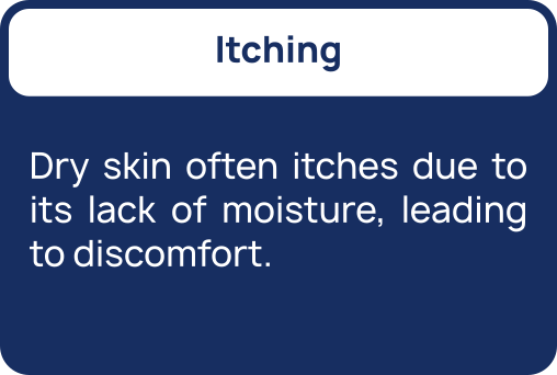 Dehydrated & Xerotic Skin - Ko Skin Specialist