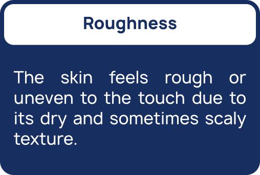 Dehydrated & Xerotic Skin - Ko Skin Specialist